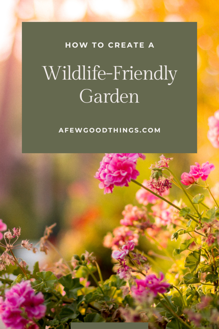 How to Create a Wildlife-Friendly Garden - A Few Good Things