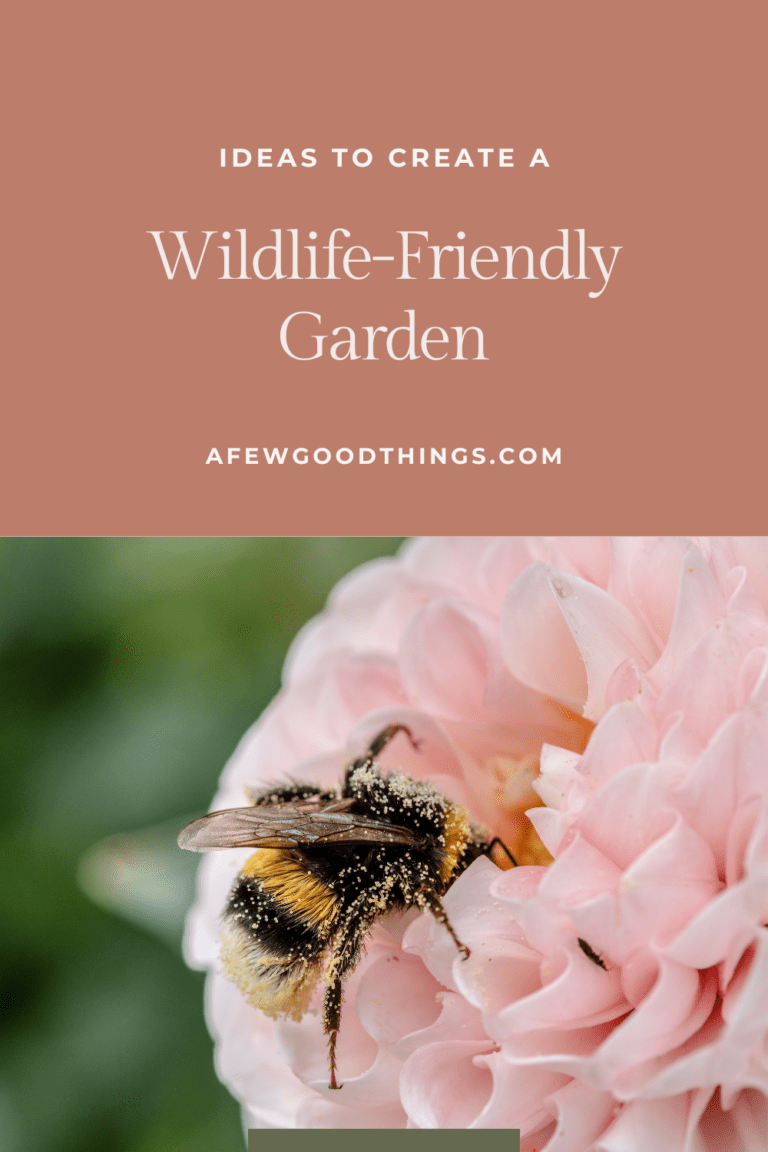 How to Create a Wildlife-Friendly Garden - A Few Good Things